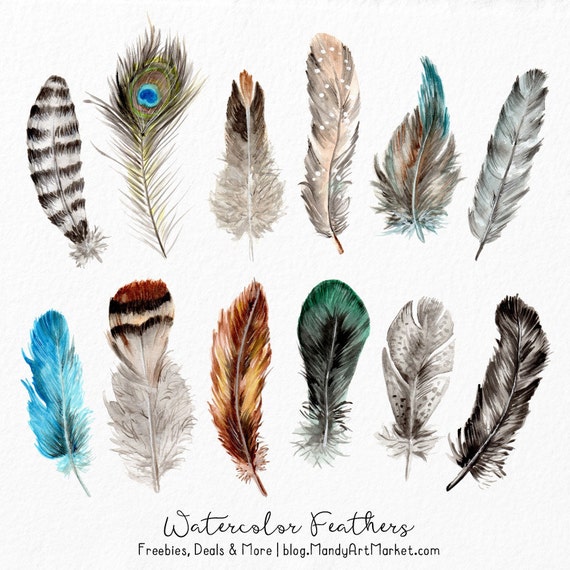 Watercolor Feather Clip Art