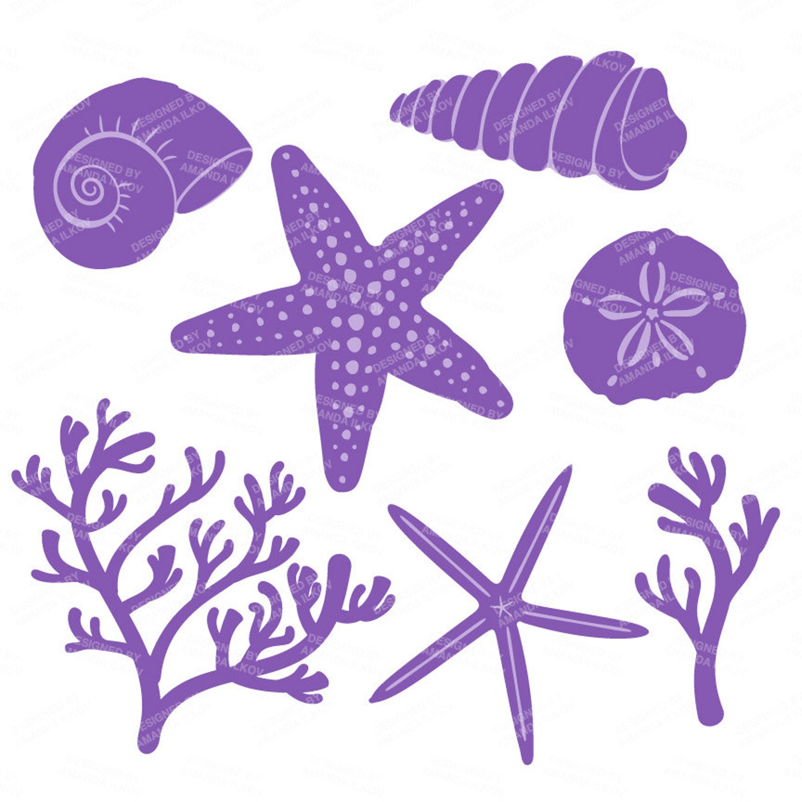 Premium Vector Seashells Clipart in Crocus Purple Seashells - Etsy