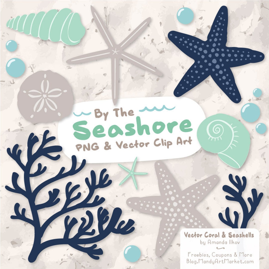 Premium Vector Seashells Clipart in Navy & Mint Mint Seashells ...