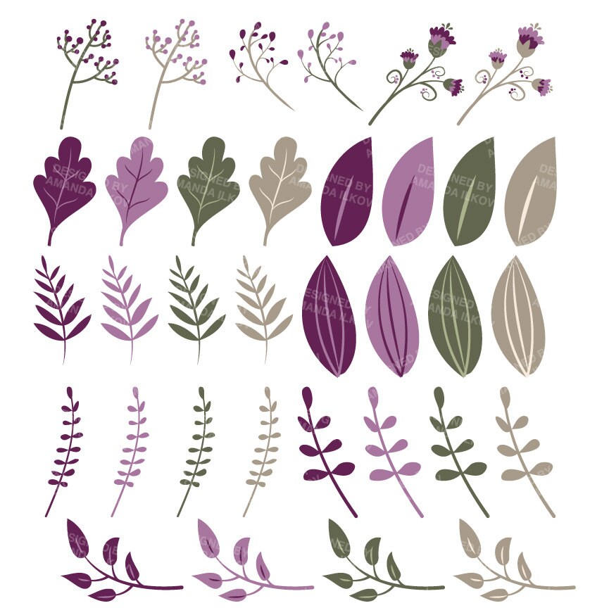 Premium Plum Floral Clipart & Flower Vectors Plum Flowers - Etsy