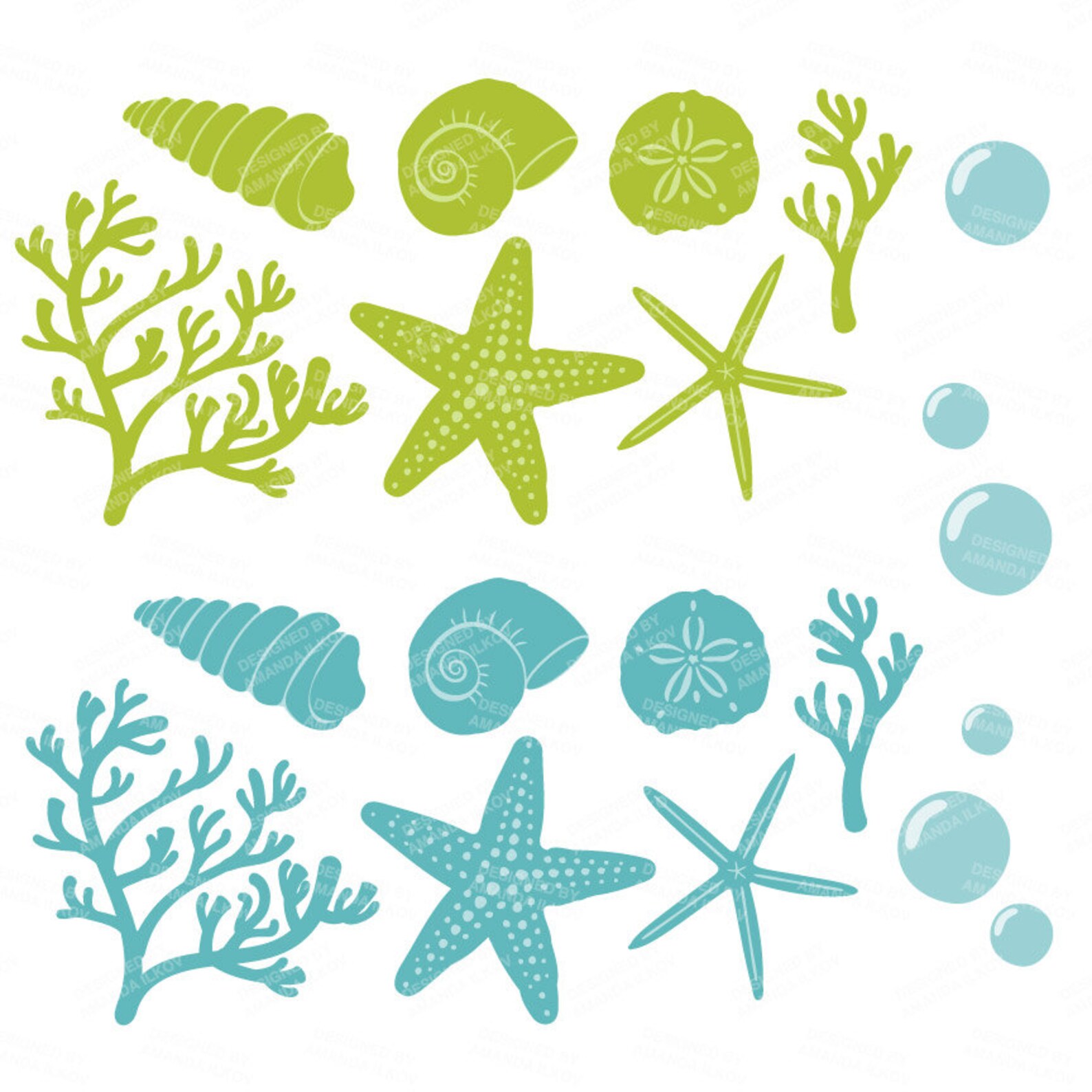 Premium Vector Seashells Clipart in Bohemian Bohemian - Etsy