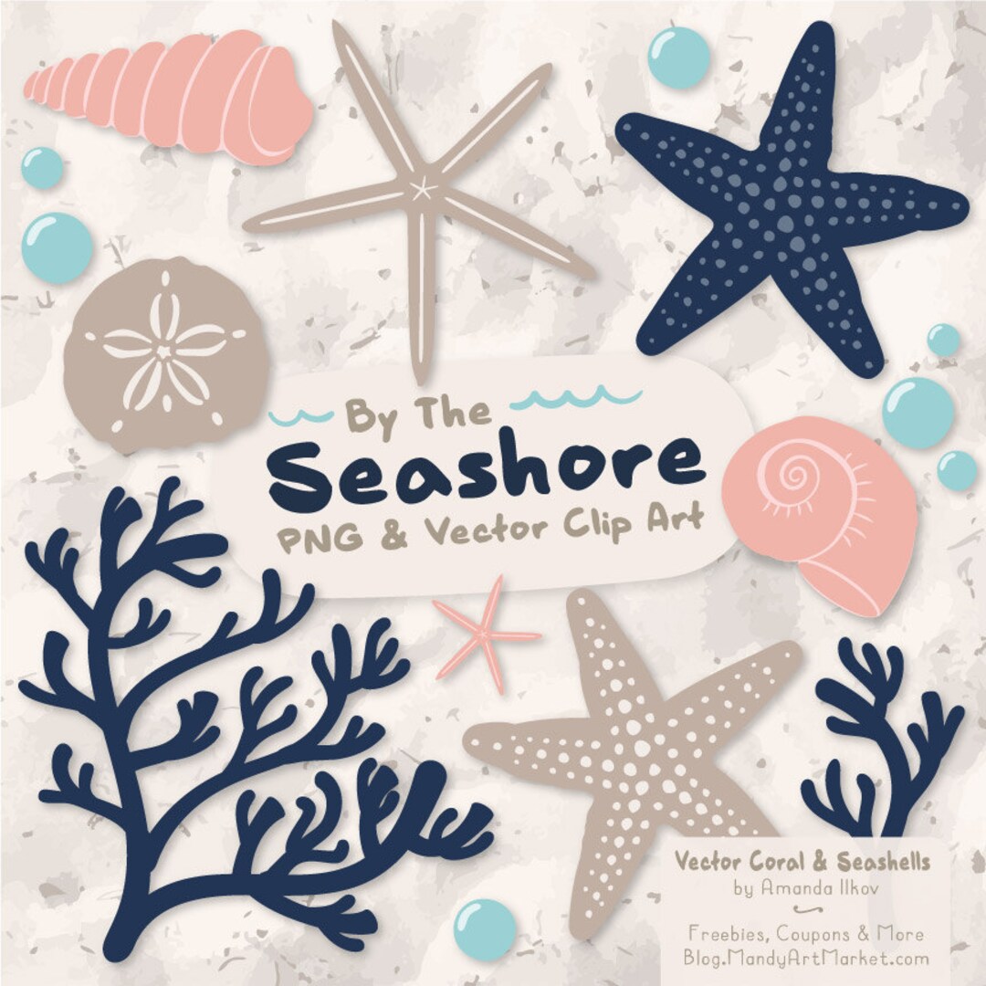 Premium Vector Seashells Clipart in Navy and Blush - Blue Seashells ...