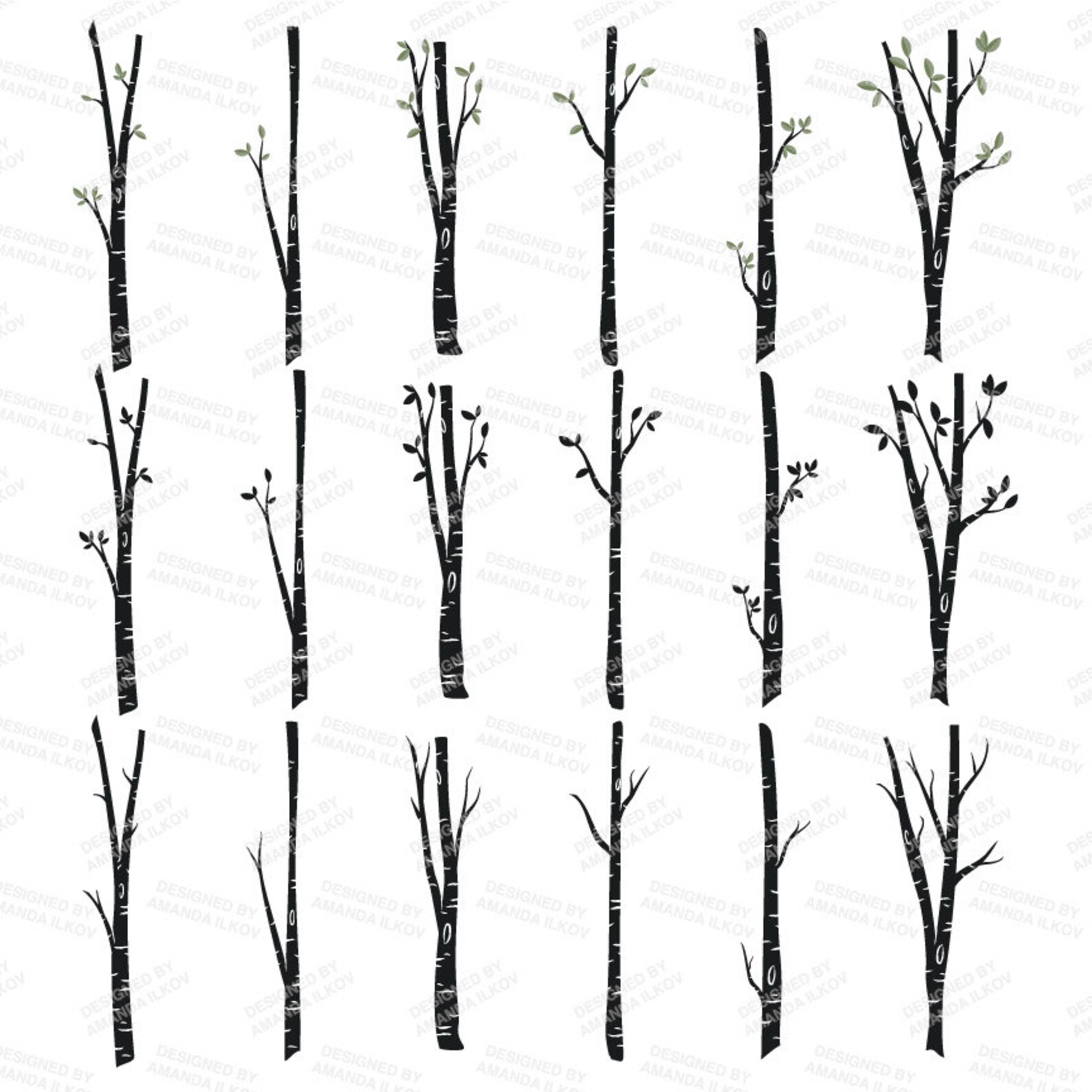 Premium Birch Tree Clipart & Vector Set - Birch Tree Clip Art, Birch ...