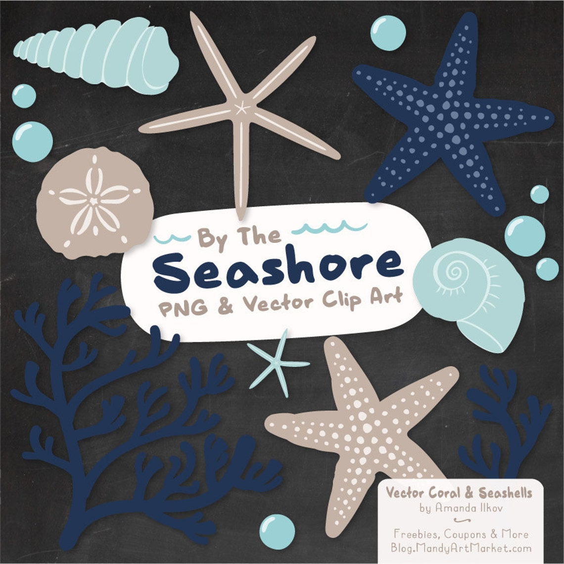 Premium Seashells Clipart & Vector Set Navy Seashells | Etsy