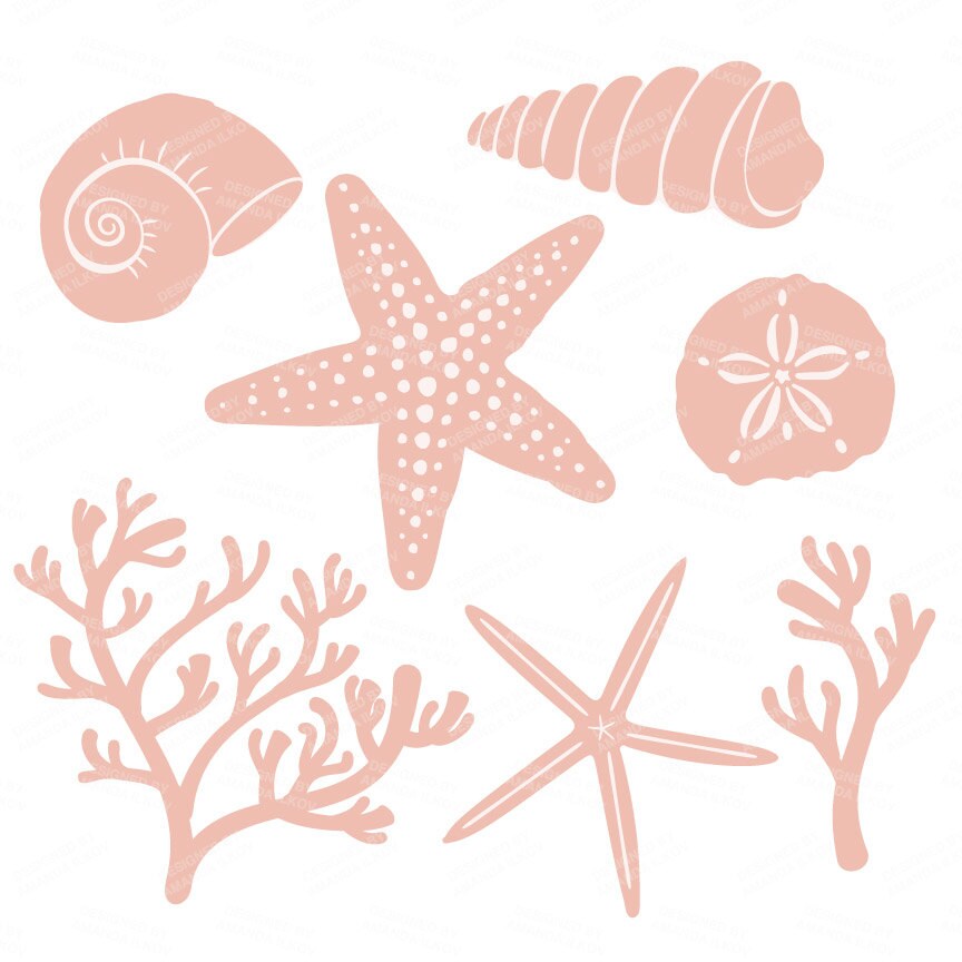 Premium Seashells Clipart & Vector Set Pastel Seashells Clip - Etsy