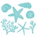 Premium Seashells Clipart & Vector Set - Bright Blue Seashells ...