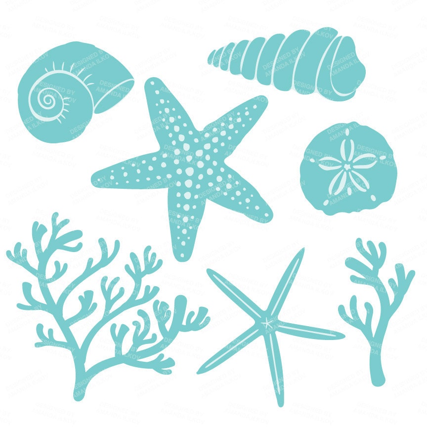 Premium Seashells Clipart & Vector Set - Bright Blue Seashells ...