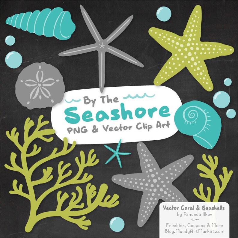 Premium Vector Seashells Clipart in Land & Sea - Summer Seashells ...
