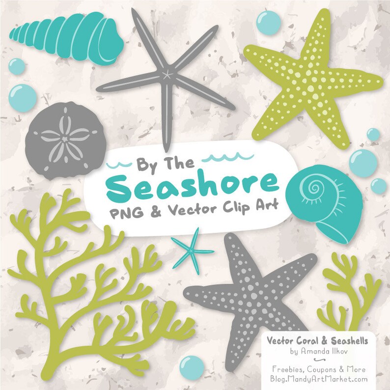 Premium Vector Seashells Clipart in Land & Sea Summer - Etsy