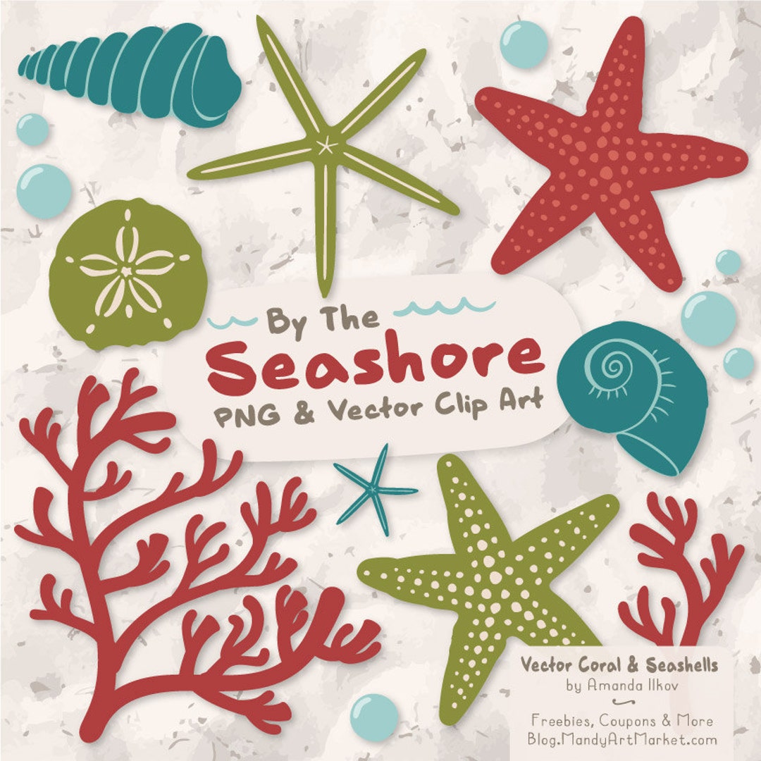Premium Vector Seashells Clipart in Retro Retro Seashells, Starfish ...