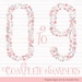 Premium Floral Numbers Clipart & Vectors in Pink and Grey - Pink Flower ...