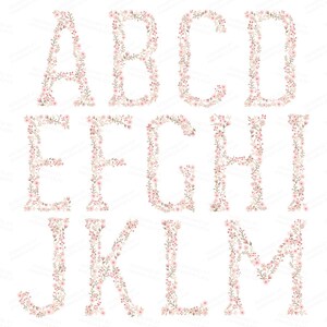 Professional Floral Alphabet Clipart & Vectors - Soft Pink Floral ...