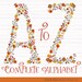 Professional Floral Alphabet Clipart & Vectors - Autumn Floral Monogram ...