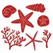 Premium Vector Seashells Clipart in Cherry Bomb - Bright Seashells ...