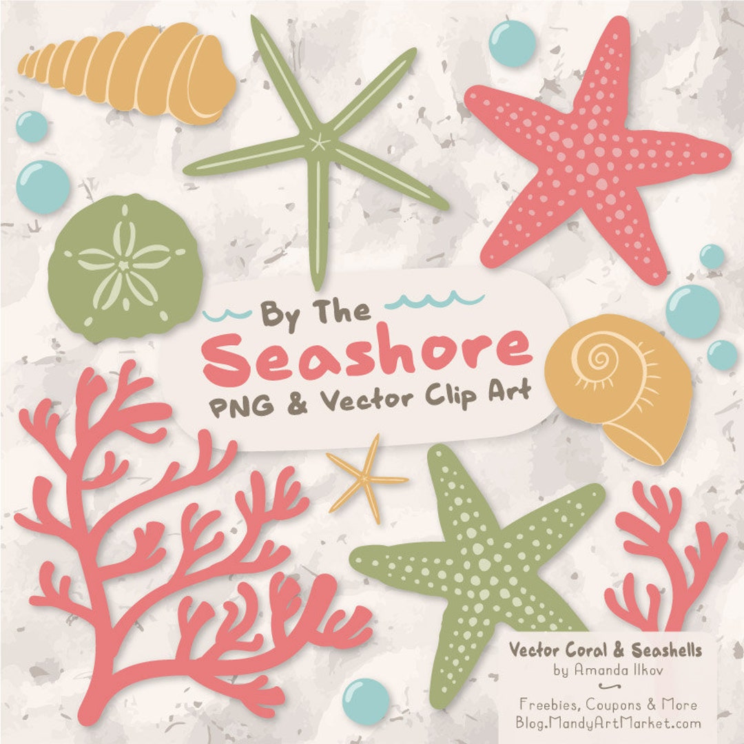 Premium Seashells Clipart & Vector Set - Vintage Seashells Clip Art ...