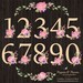 Premium Floral Numbers Clipart & Vectors - Garden Party Flower Numbers ...