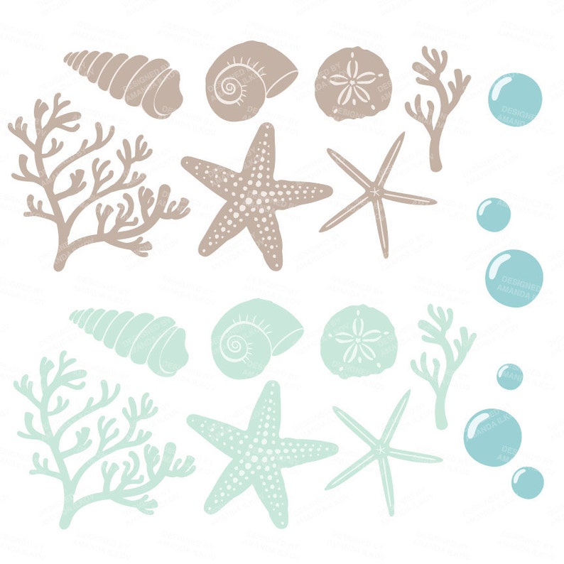 Premium Vector Seashells Clipart in Mint Mint Seashells | Etsy