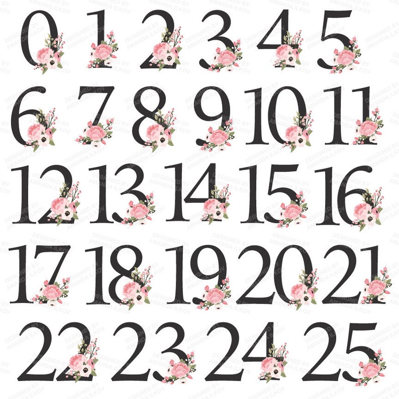 Premium Floral Numbers Clipart & Vectors Soft Pink Flower | Etsy
