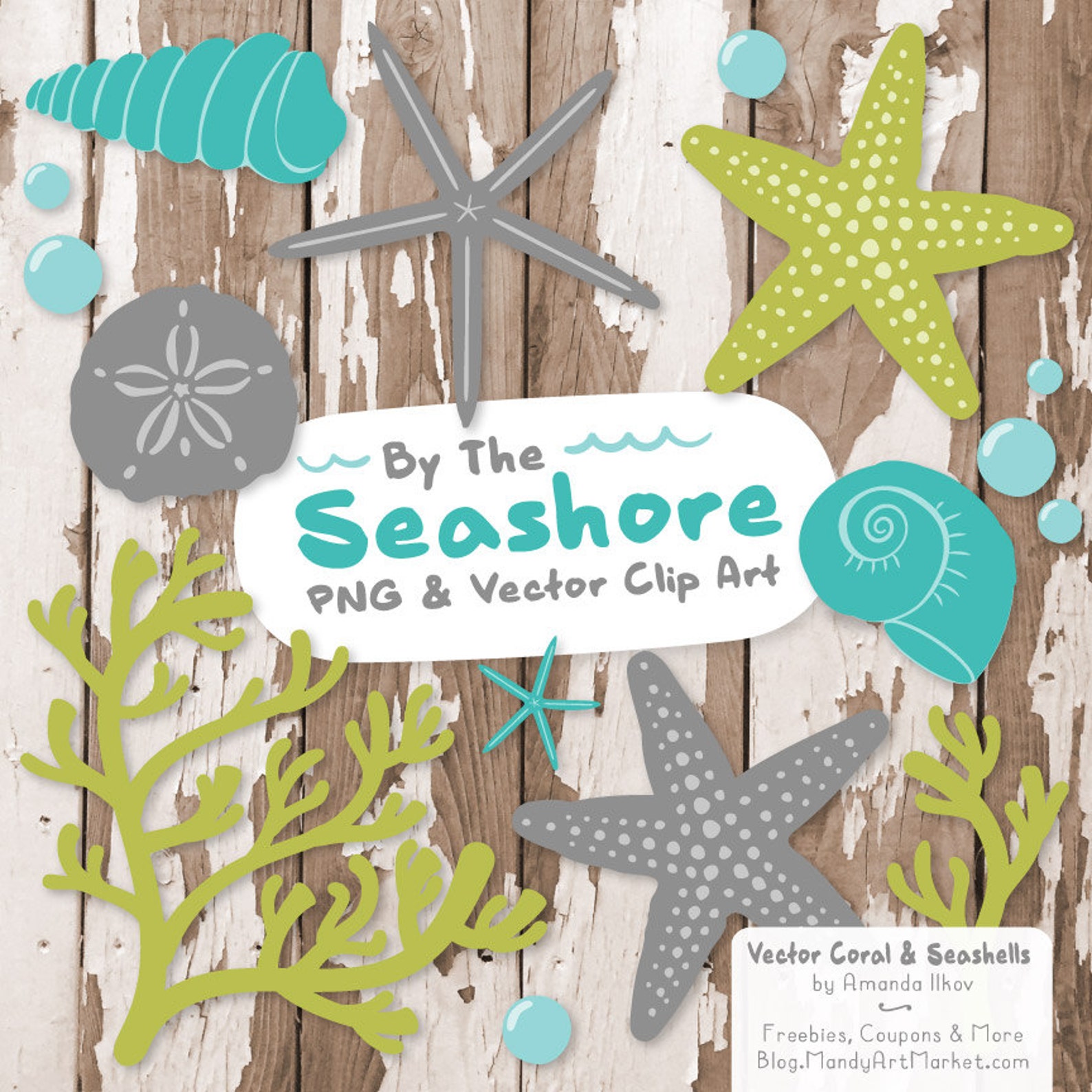 Premium Vector Seashells Clipart in Land & Sea - Summer Seashells ...