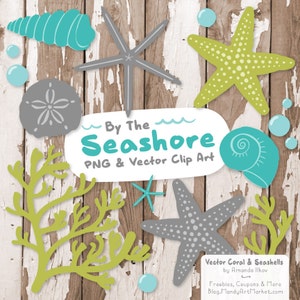 Premium Vector Seashells Clipart in Land & Sea Summer Seashells ...