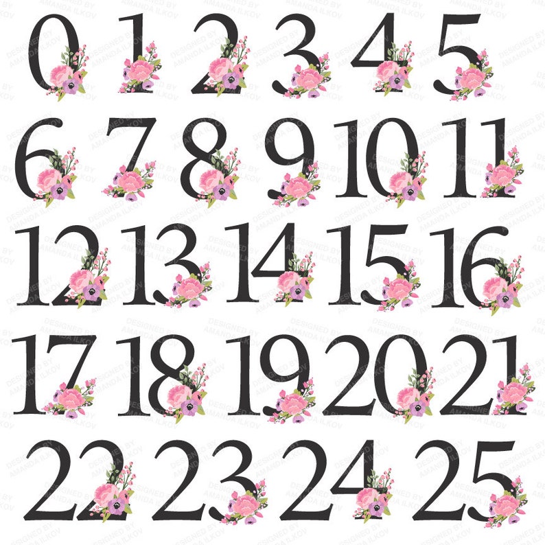 Premium Floral Numbers Clipart & Vectors - Garden Party Flower Numbers ...