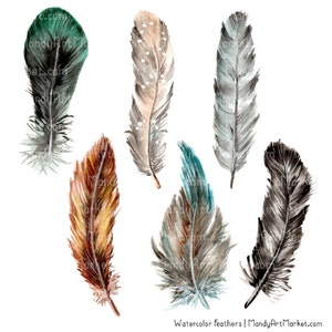 Watercolor Feathers Clipart - Watercolour Feathers, Hand Painted ...