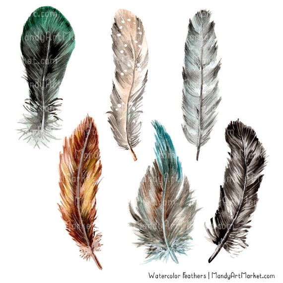 Watercolor Feather Clip Art