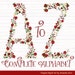 Professional Floral Alphabet Clipart & Vectors - Christmas Floral ...