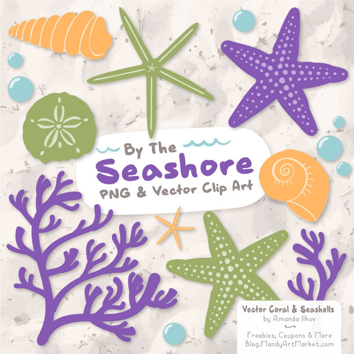 Premium Vector Seashells Clipart in Crocus Purple Seashells - Etsy