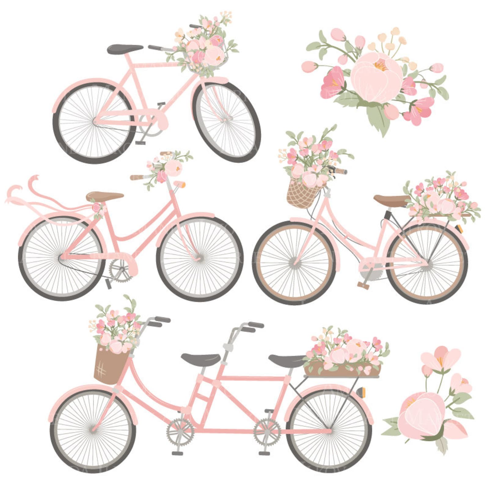 Emma Floral Bicycle Clipart & Vectors in Soft Pink Rose | Etsy