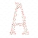 Professional Floral Alphabet Clipart & Vectors - Soft Pink Floral ...