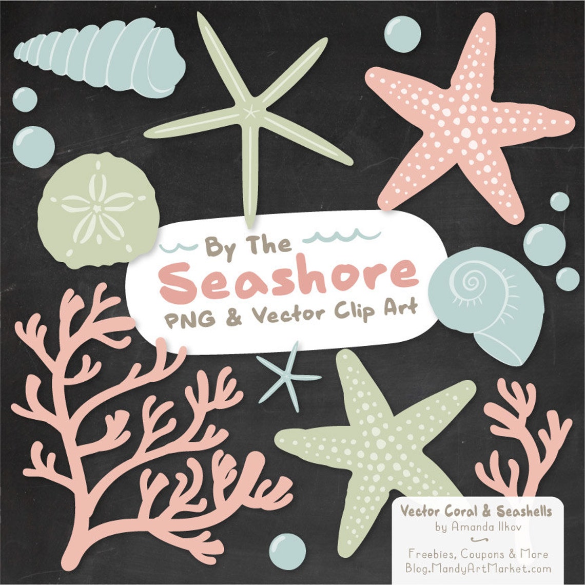 Premium Seashells Clipart & Vector Set Pastel Seashells Clip - Etsy