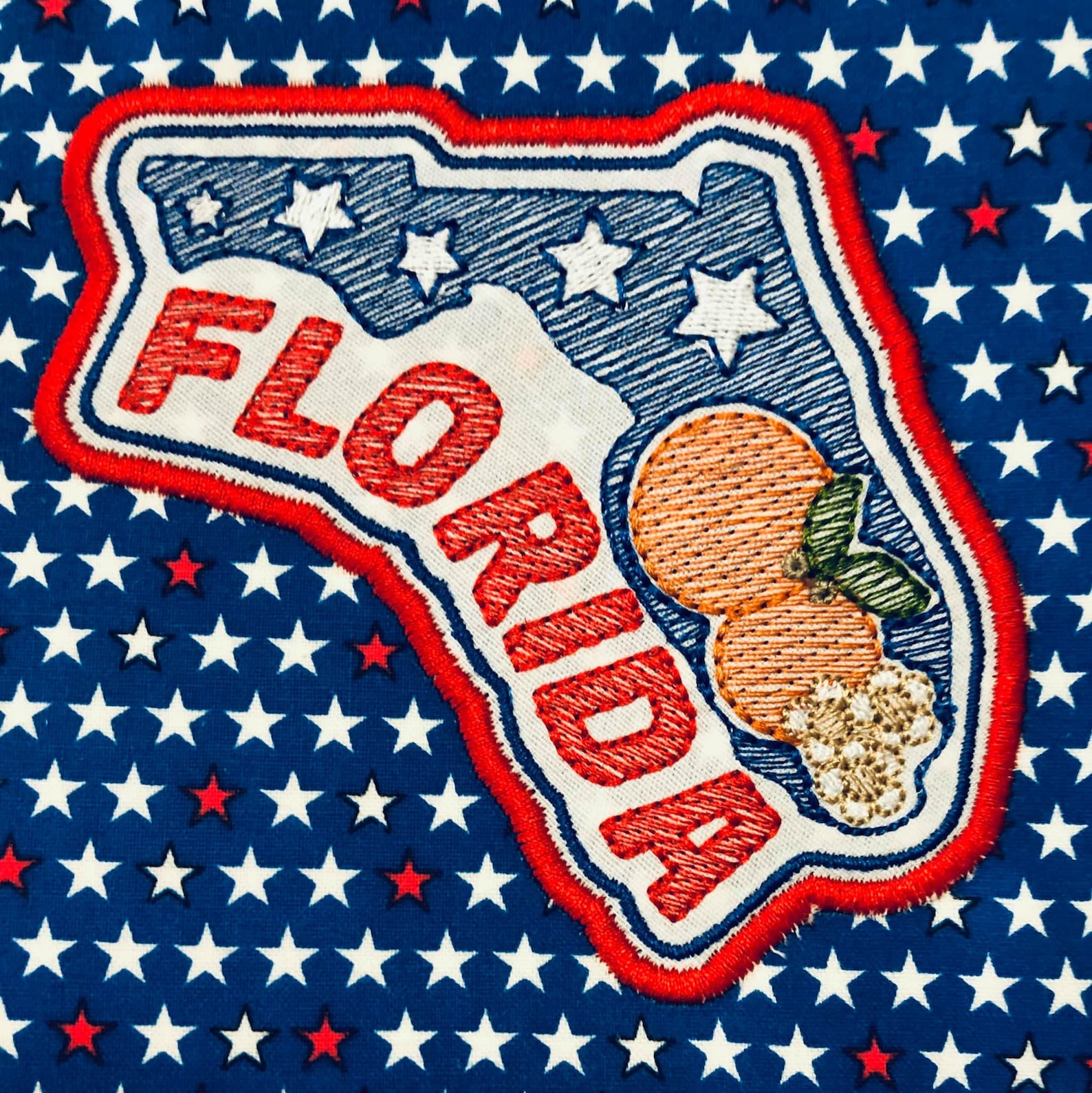 USA Florida State Applique Embroidery Design 4 and - Etsy