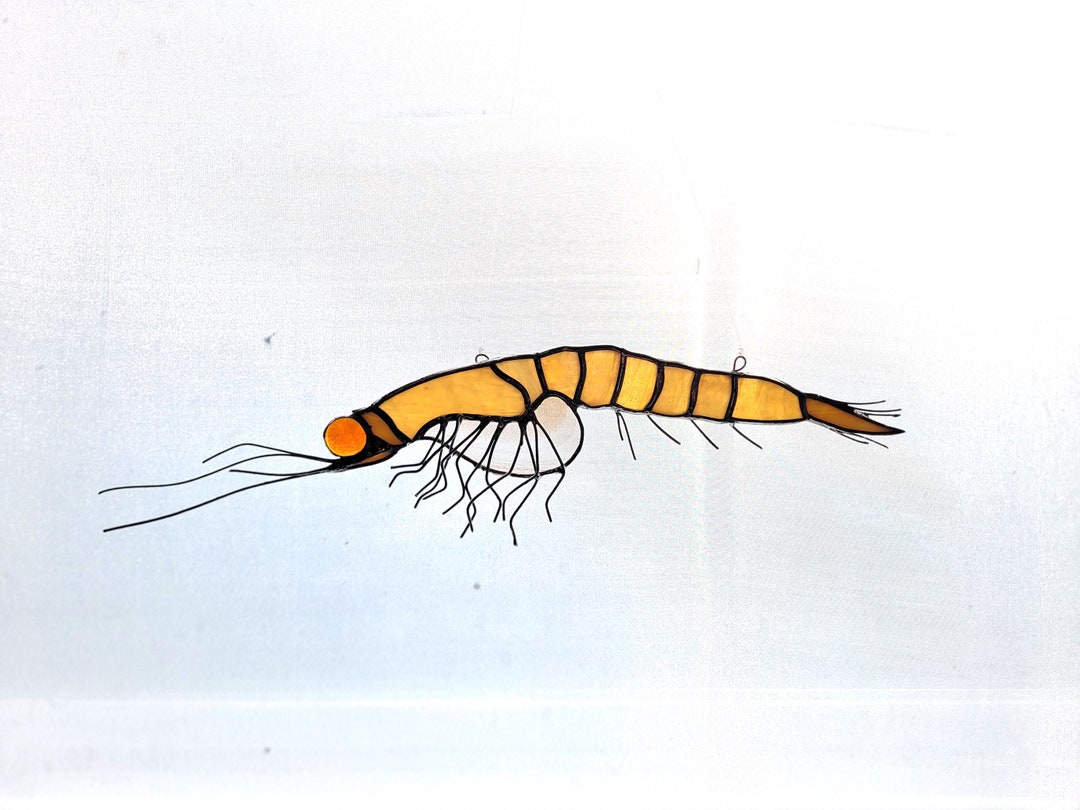 Mysid Opossum Shrimp Suncatcher - Etsy