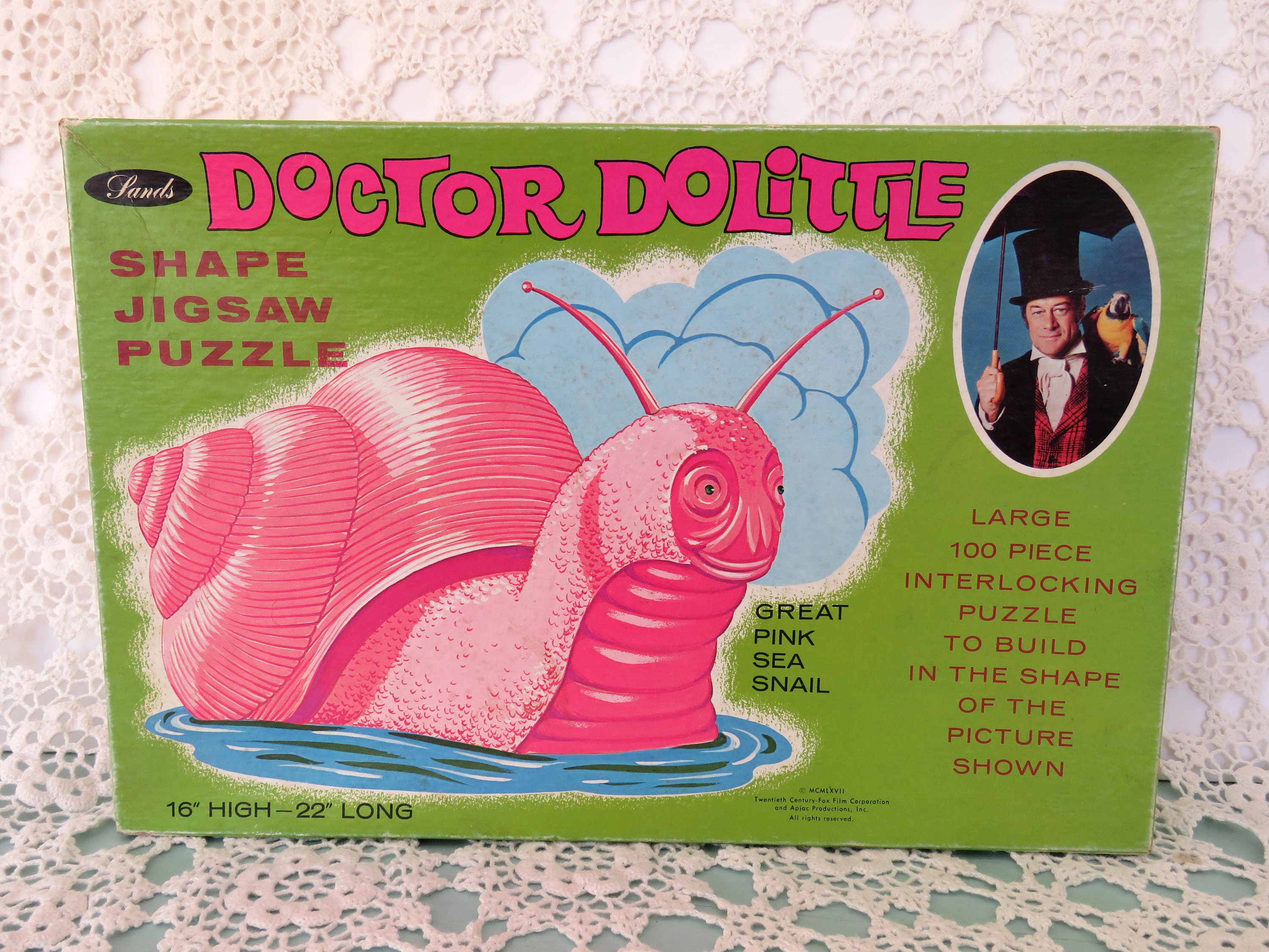 Great Pink Sea Snail