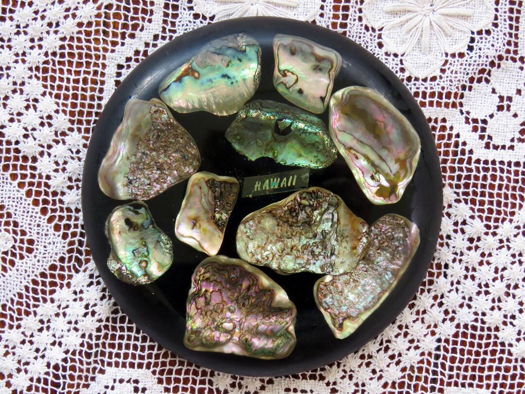 Large Vintage 1969 Hawaii Abalone Shell Souvenir Trivet - 1960s ...