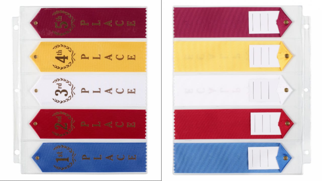 Track and Field Gift Award Ribbon Display Storage Holder Organizer ...