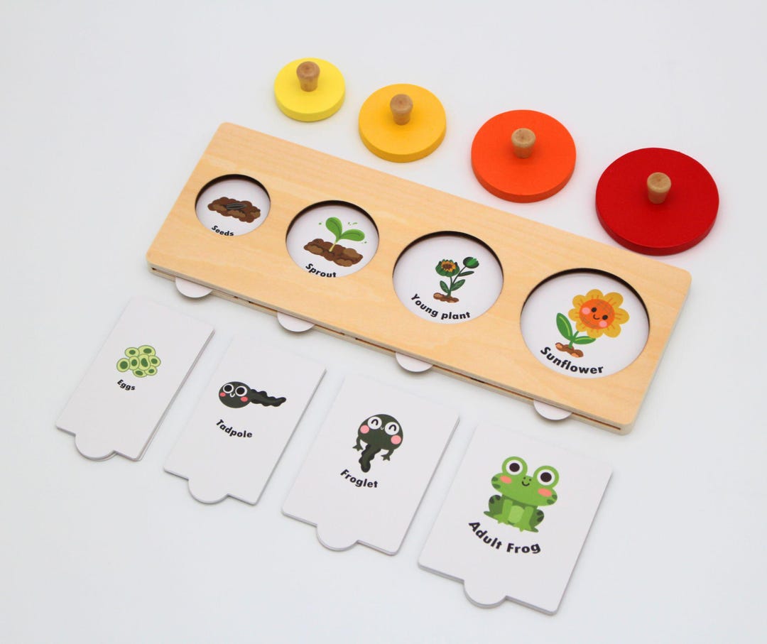 Montessori Science Materials Plants Growth Process Life Cycle Toddler ...