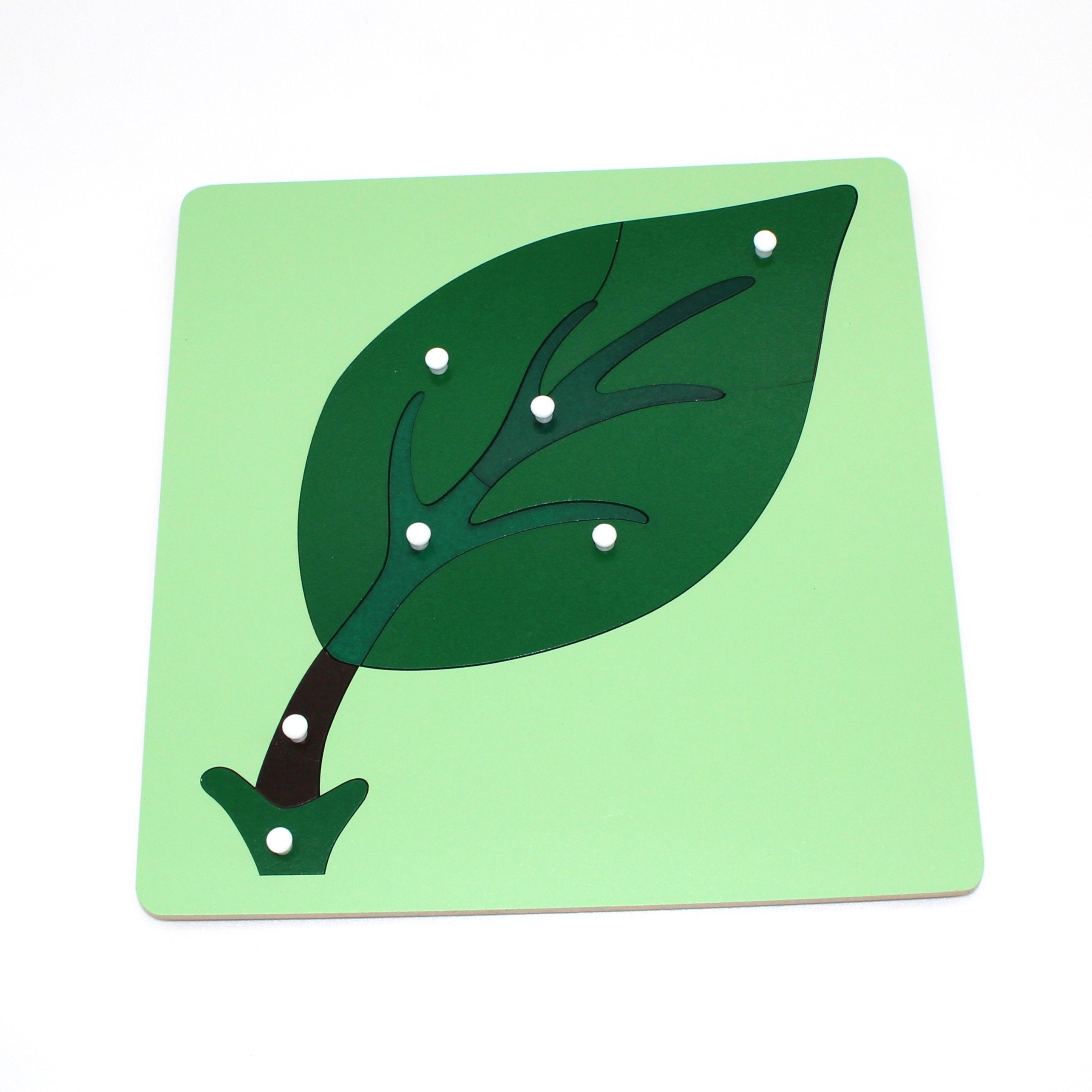 Montessori Botany Wooden Puzzles Leaf/flower/tree Plant Puzzles - Etsy
