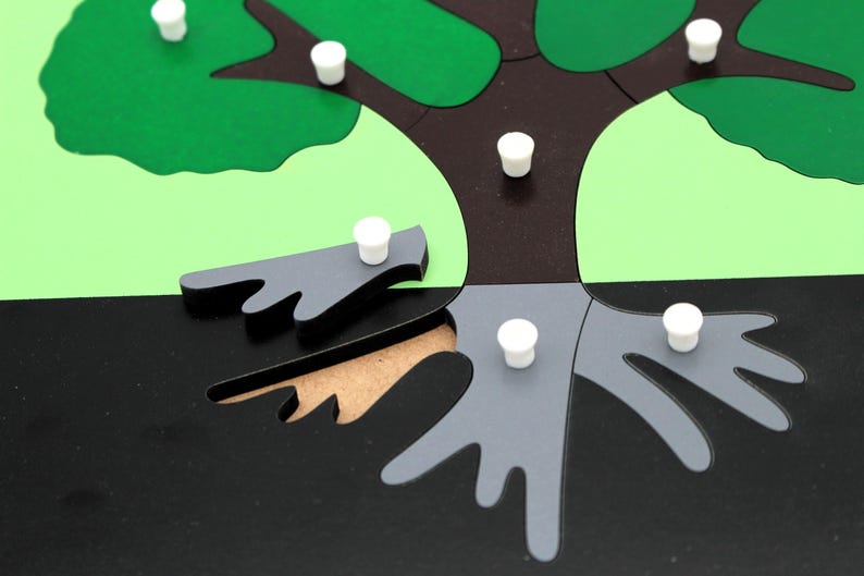 Montessori Zoology Botany Puzzle Stand Puzzle Cabinet for 3 Puzzles - Etsy