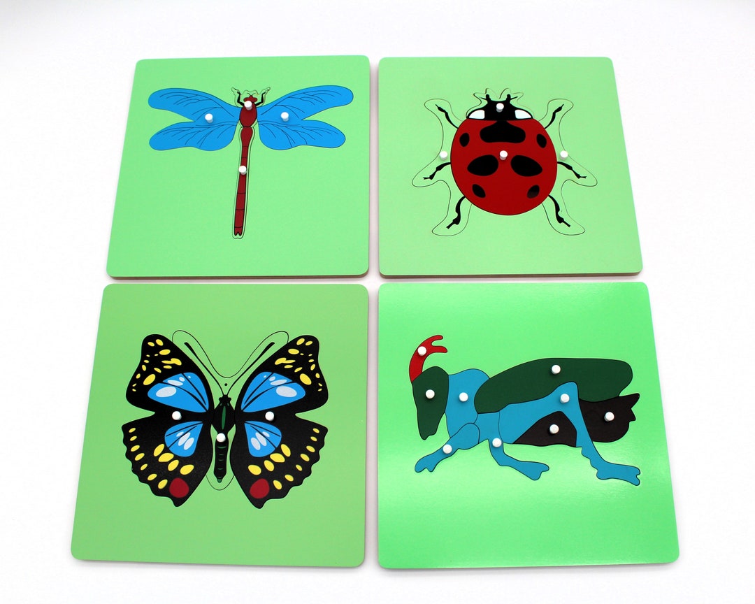 Montessori Zoology Bug Wooden Puzzles Ladybug/butterfly/dragonfly ...
