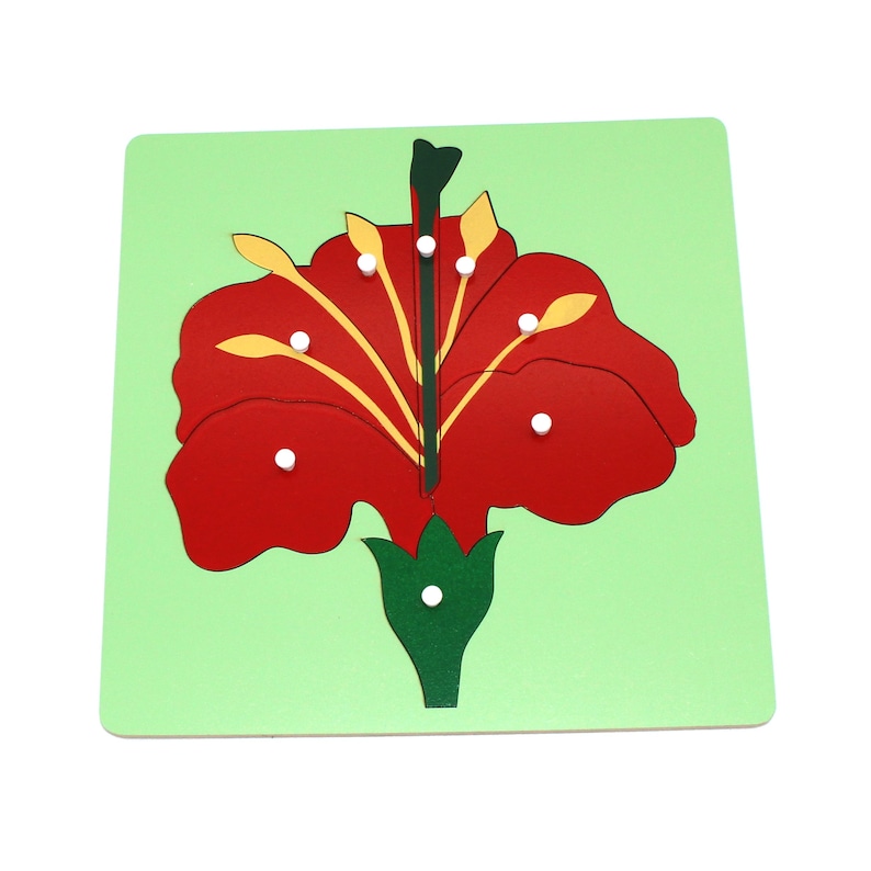 Montessori Botany Wooden Puzzles Leaf/flower/tree Plant Puzzles - Etsy