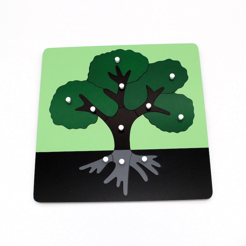 Montessori Botany Wooden Puzzles Leaf/flower/tree Plant Puzzles - Etsy