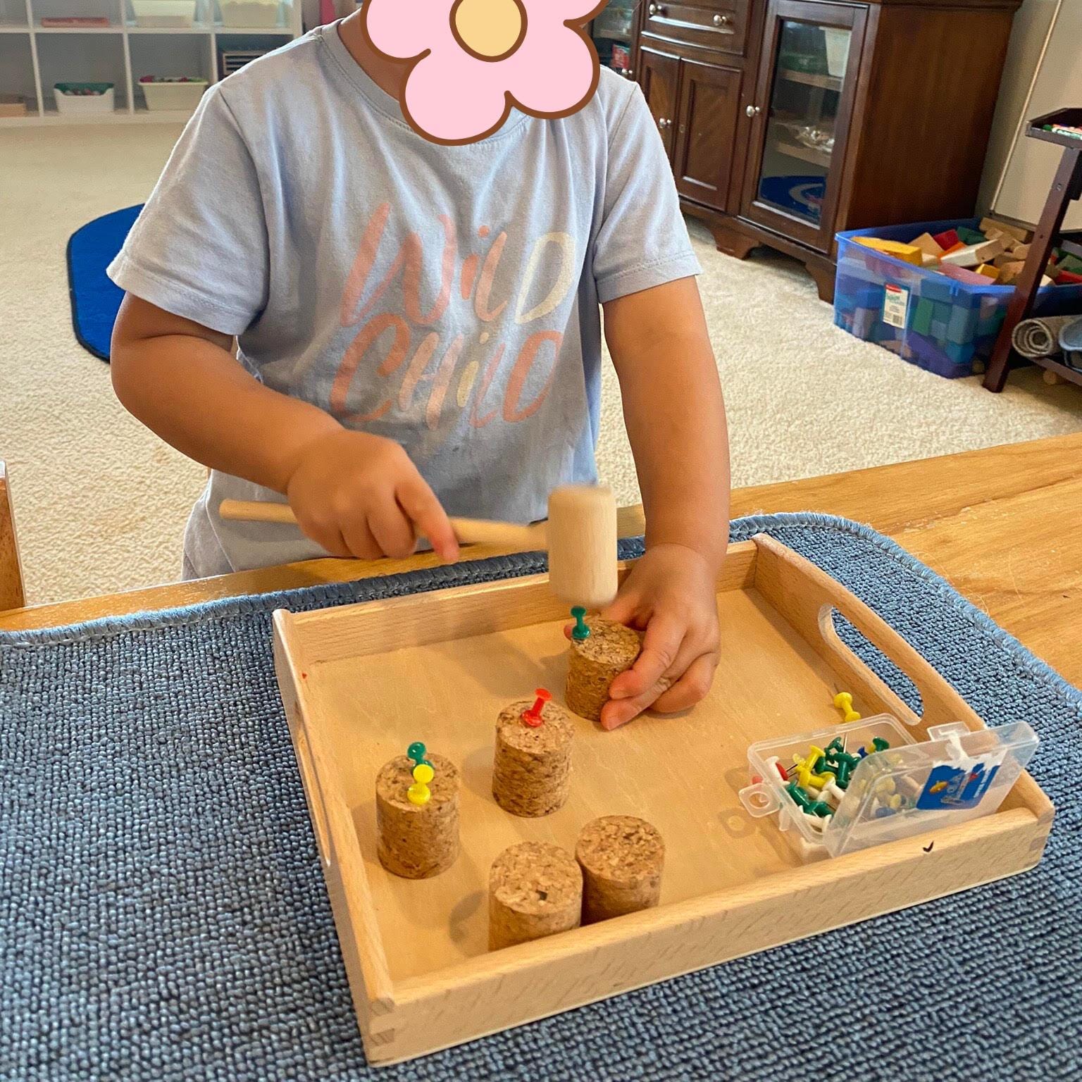 Montessori Practical Life Materials the Hammer Work With Thumbtacks ...