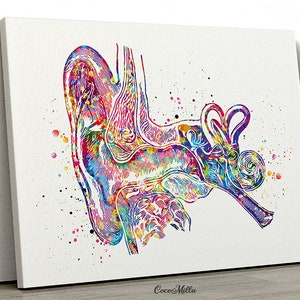 Ear Anatomy Watercolor Print Audiologist Gift Audiology Poster Science ...