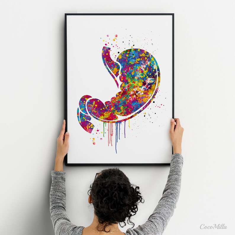 Stomach Watercolor Print Human Organs Gastrointestinal Clinic | Etsy