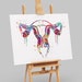 Uterus Watercolor Print Human Organs Gynecology Anatomical - Etsy