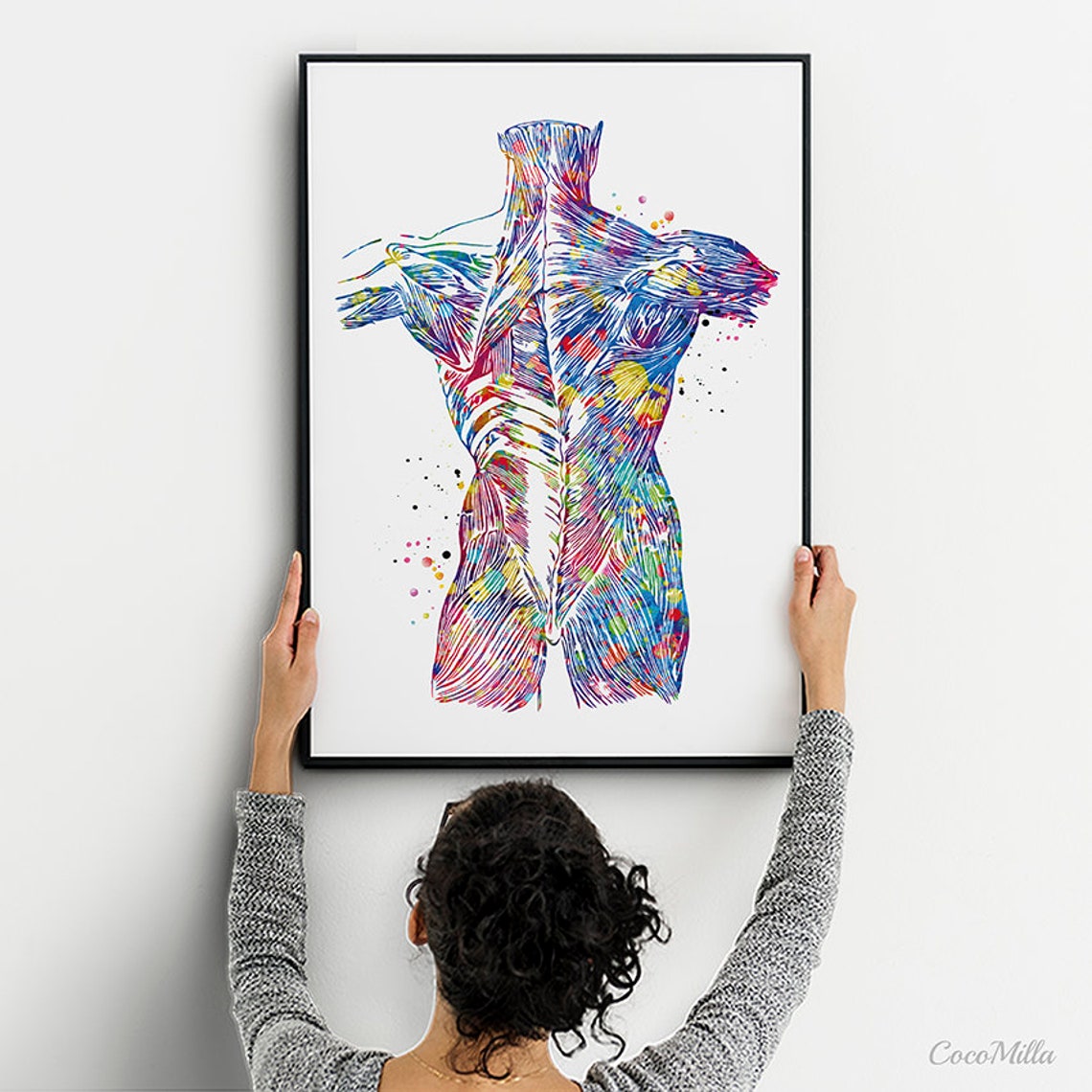 Muscles of Back Watercolor Print Human Anatomy Medical Art - Etsy