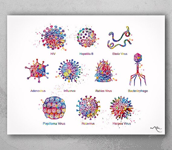 Viruses Diagram Watercolor Print Medical Art Wall Art - Etsy
