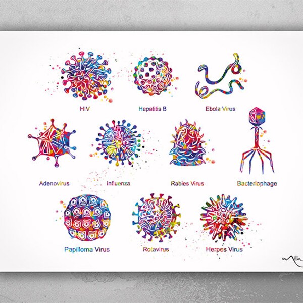 Microbiology Poster - Etsy